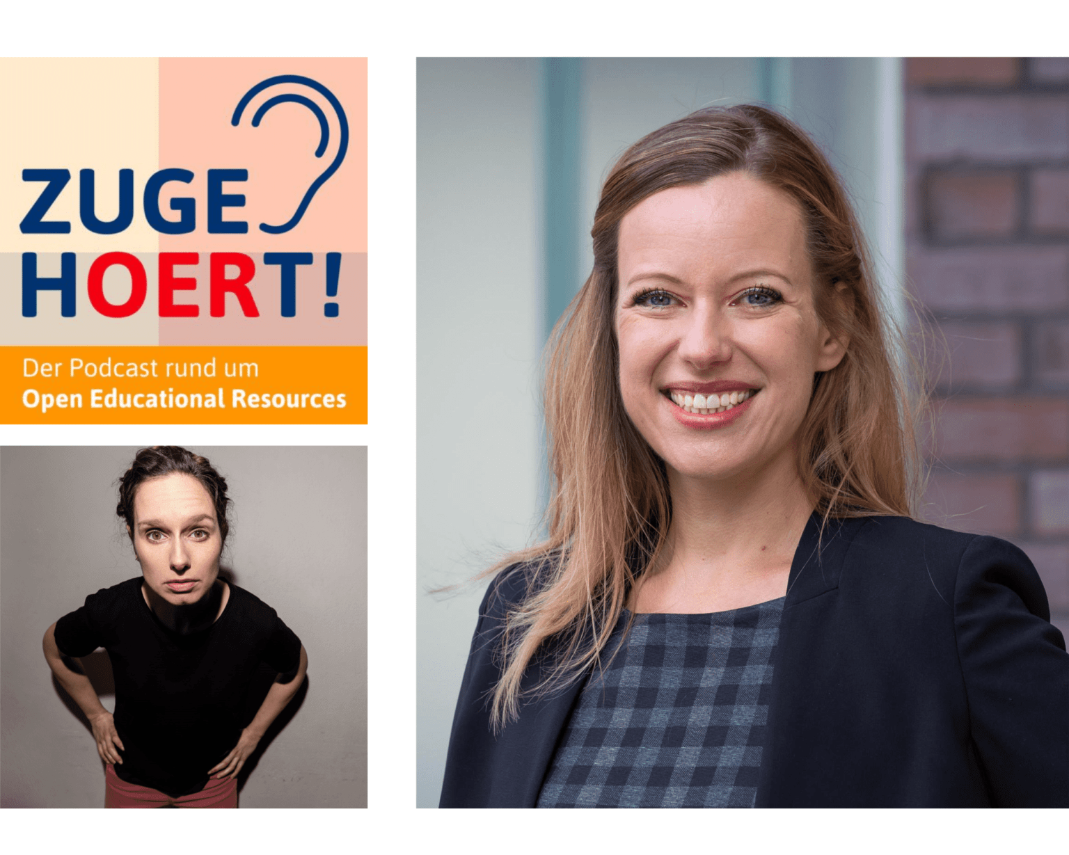 zugehOERt 089: Was braucht die Hochschulpraxis | OERinfo